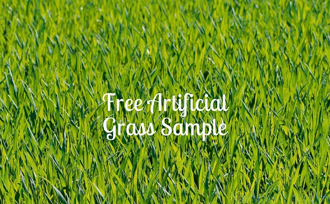 Free Artificial Grass Sample - SampleThat Free Artificial Grass Sample - SampleThat